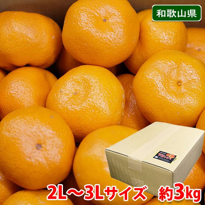 和歌山県産 下津みかん（しもつみかん）秀品 2L〜3Lサイズ お試し 約3kg : 11610014-4 : 生鮮卸売市場 - 通販 - Yahoo!ショッピング