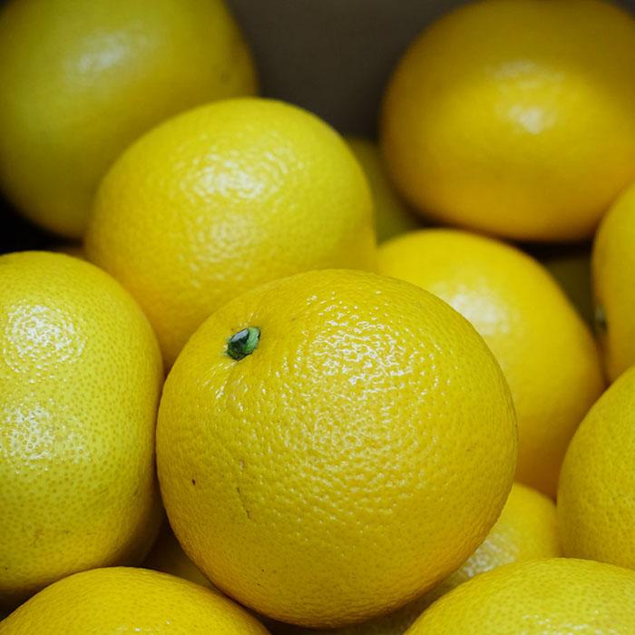 和歌山県産 八朔（はっさく）秀品 3L〜5Lサイズ 約9〜10kg（箱） : 生鮮卸売市場 - 通販 - Yahoo!ショッピング