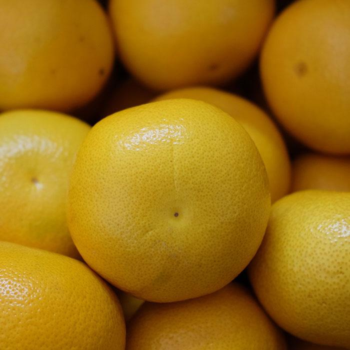 和歌山県産 八朔（はっさく）秀品 3L〜5Lサイズ 約9〜10kg（箱） : 生鮮卸売市場 - 通販 - Yahoo!ショッピング