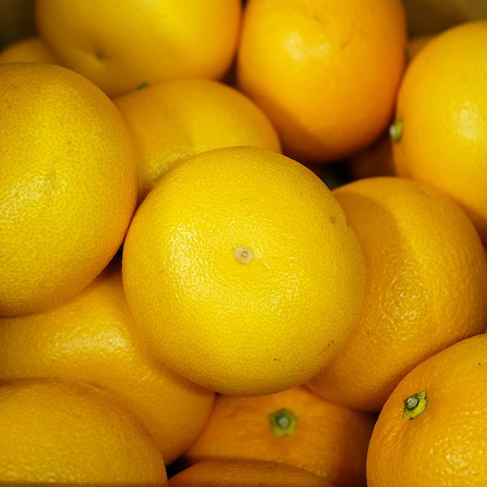和歌山県産 八朔（はっさく）秀品 3L〜5Lサイズ 約9〜10kg（箱） : 生鮮卸売市場 - 通販 - Yahoo!ショッピング