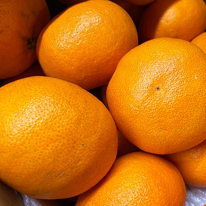 愛媛県産 甘平（かんぺい）秀品 L〜2Lサイズ（28〜36玉前後）5kg : 11610024-1 : 生鮮卸売市場 - 通販 - Yahoo!ショッピング