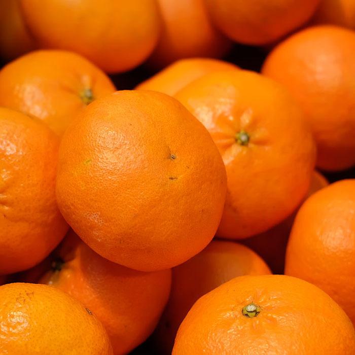 愛媛県産 甘平（かんぺい）秀品 L〜2Lサイズ（28〜36玉前後）5kg : 11610024-1 : 生鮮卸売市場 - 通販 - Yahoo!ショッピング