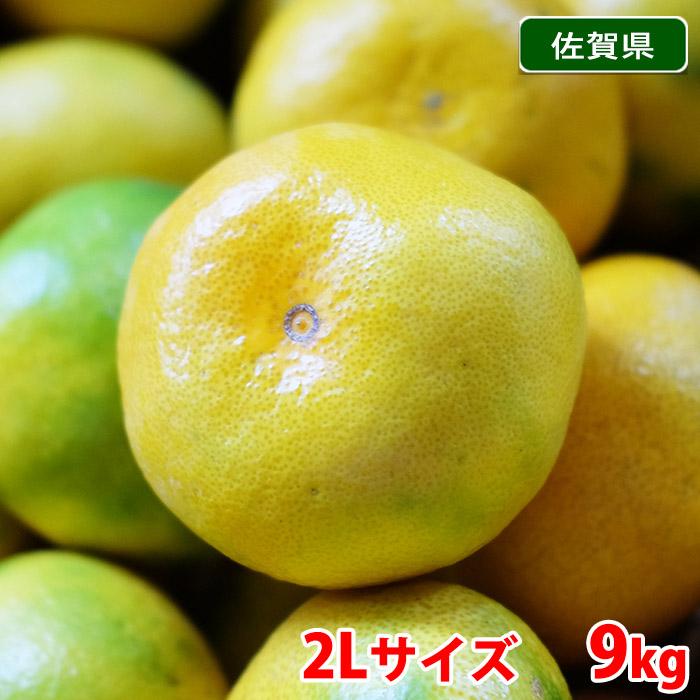 佐賀県産 さが みかん 極早生 （ごくわせ） 秀品 2Lサイズ 9kg （箱） : 生鮮卸売市場 - 通販 - Yahoo!ショッピング