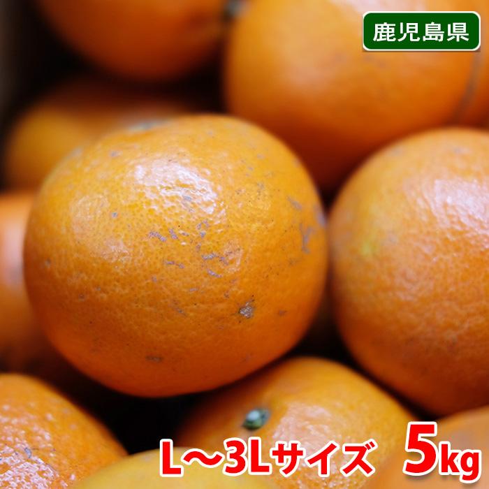 鹿児島県産 たんかん 秀品 L〜3Lサイズ 5kg : 生鮮卸売市場 - 通販 - Yahoo!ショッピング