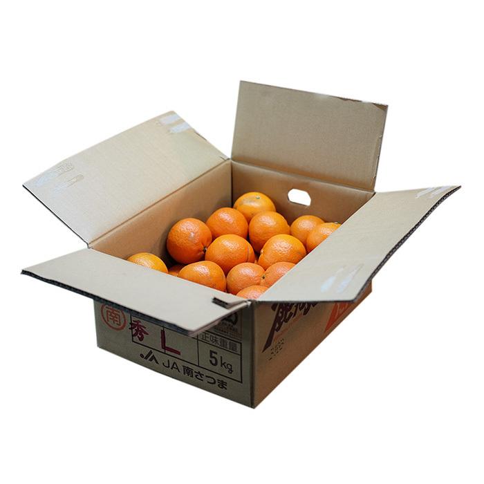鹿児島県産 たんかん 秀品 L〜3Lサイズ 5kg : 生鮮卸売市場 - 通販 - Yahoo!ショッピング