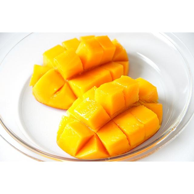 宮崎県産 完熟マンゴー 3L〜4Lサイズ 1玉入り （1パック） : 11610170-1 : 生鮮卸売市場 - 通販 - Yahoo!ショッピング