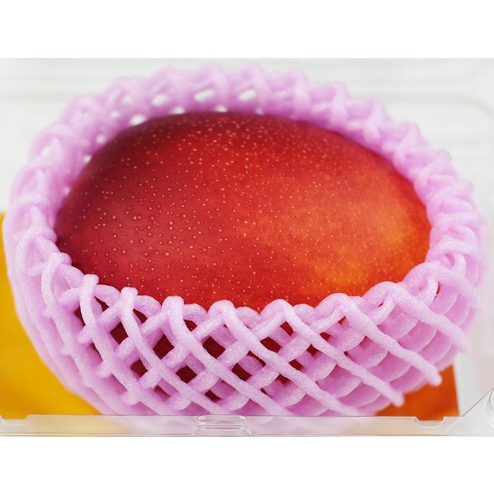 宮崎県産 完熟マンゴー 3L〜4Lサイズ 1玉入り （1パック） : 11610170-1 : 生鮮卸売市場 - 通販 - Yahoo!ショッピング