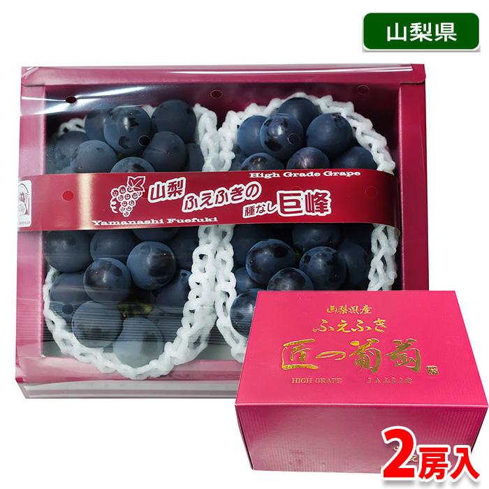 山梨県産 匠の葡萄 種なし巨峰 2房入り 約800g〜1kg （化粧箱） 種無し 巨峰 ギフト用 ぶどう : 生鮮卸売市場 - 通販 - Yahoo!ショッピング