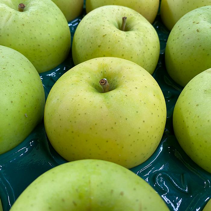 送料無料 青森県産 りんご きおう（黄王） 28〜36玉入り 10kg :11610421:生鮮卸売市場 - 通販 - Yahoo!ショッピング