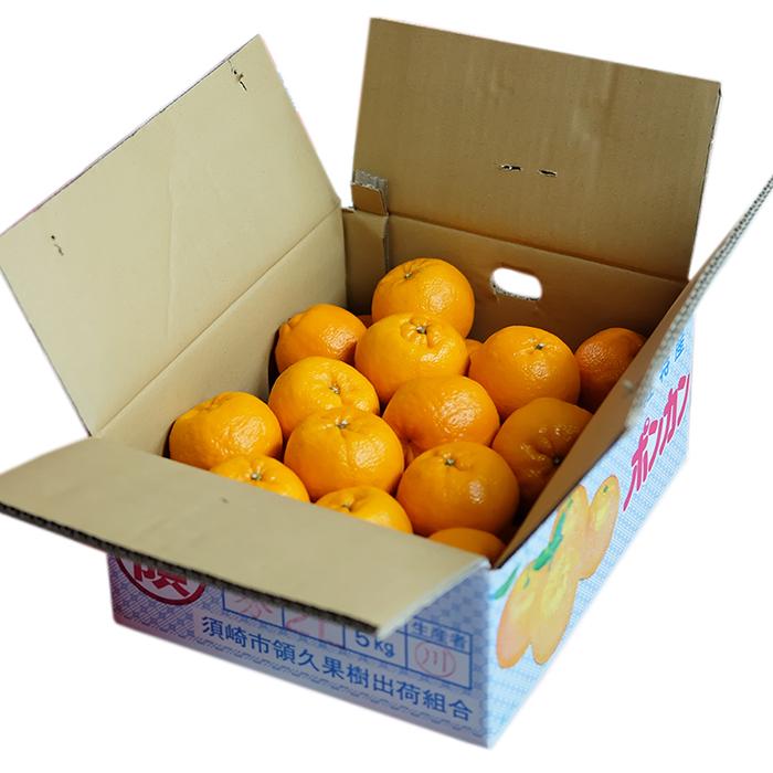 高知県産 ポンカン 秀品 L〜2Lサイズ 5kg （箱） :11610448:生鮮卸売市場 - 通販 - Yahoo!ショッピング