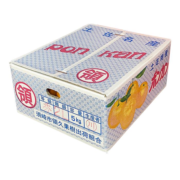 高知県産 ポンカン 秀品 L〜2Lサイズ 5kg （箱） :11610448:生鮮卸売市場 - 通販 - Yahoo!ショッピング