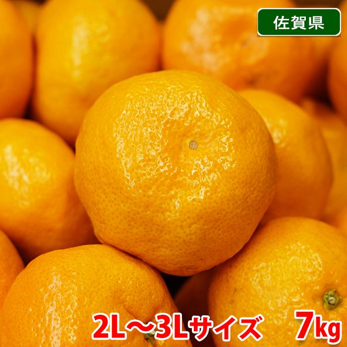 佐賀県産 あんみつみかん （あんみつ丸） 秀品 2L〜3Lサイズ 7kg（箱） : 生鮮卸売市場 - 通販 - Yahoo!ショッピング