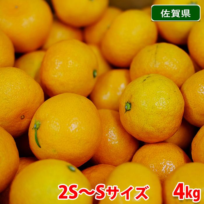 佐賀県産 あんみつみかん （あんみつ姫） 秀品 2S〜Sサイズ 4kg（箱） : 生鮮卸売市場 - 通販 - Yahoo!ショッピング