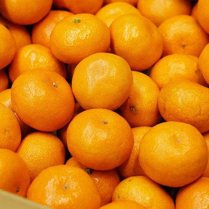 佐賀県産 あんみつみかん （あんみつ姫） 秀品 2S〜Sサイズ 4kg（箱） : 生鮮卸売市場 - 通販 - Yahoo!ショッピング