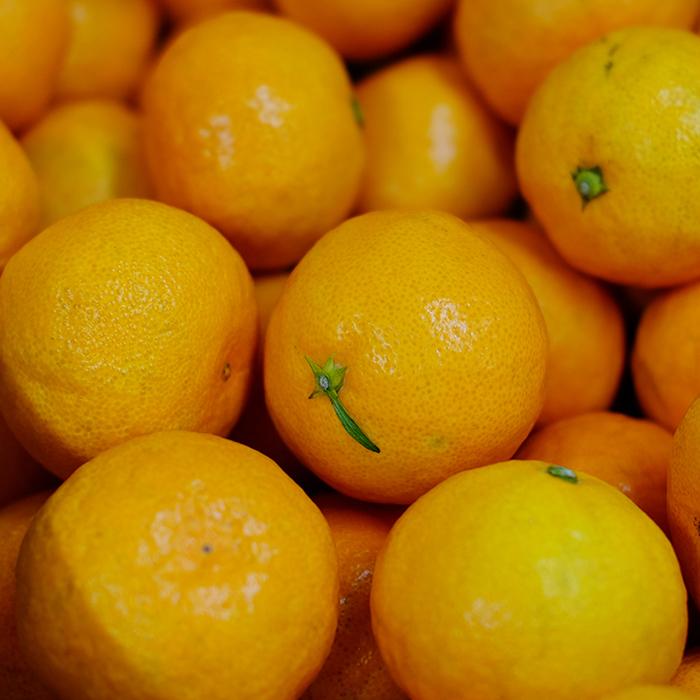 佐賀県産 あんみつみかん （あんみつ姫） 秀品 2S〜Sサイズ 4kg（箱） : 生鮮卸売市場 - 通販 - Yahoo!ショッピング