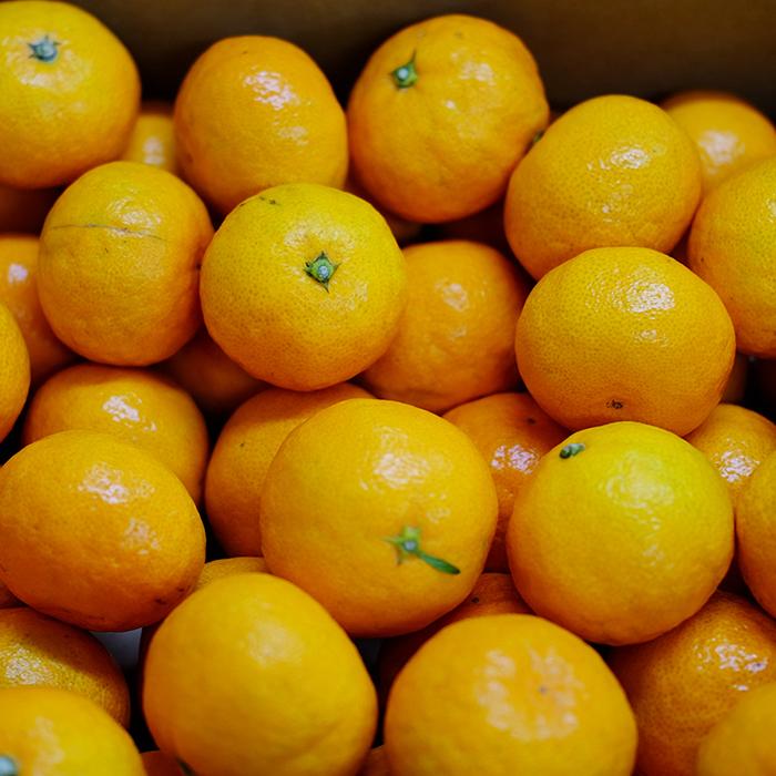 佐賀県産 あんみつみかん （あんみつ姫） 秀品 2S〜Sサイズ 4kg（箱） : 生鮮卸売市場 - 通販 - Yahoo!ショッピング