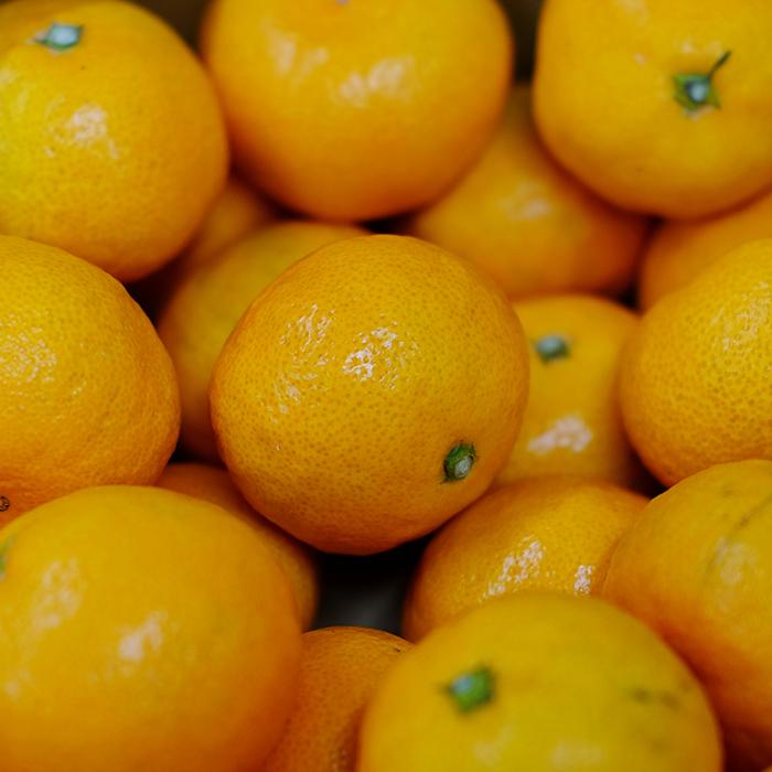 佐賀県産 あんみつみかん （あんみつ姫） 秀品 2S〜Sサイズ 4kg（箱） : 生鮮卸売市場 - 通販 - Yahoo!ショッピング