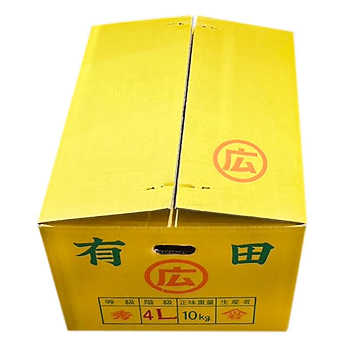 和歌山県産 紅さつき 八朔 秀品 3L〜4Lサイズ 10kg （箱） 国産 みかん : 生鮮卸売市場 - 通販 - Yahoo!ショッピング