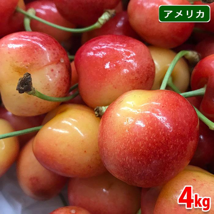 アメリカ産 アメリカンチェリー RAINIER（レイニア）種 4kg : 生鮮卸売市場 - 通販 - Yahoo!ショッピング