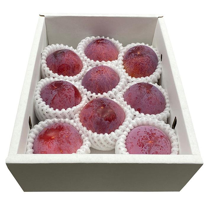 山梨県産 プラム 貴陽 秀品 7〜9玉入（化粧箱） : 生鮮卸売市場 - 通販 - Yahoo!ショッピング