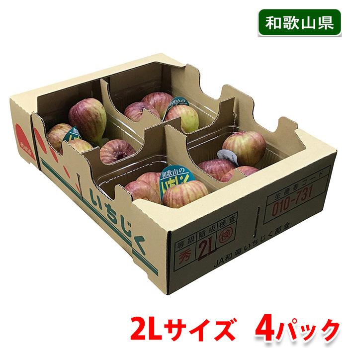 和歌山県産 いちじく 秀品 2Lサイズ 4パック入り（箱） : 11610555 : 生鮮卸売市場 - 通販 - Yahoo!ショッピング