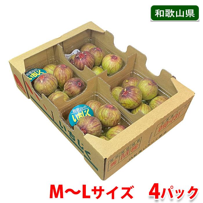 和歌山県産 いちじく 秀品 M〜Lサイズ 4パック入り : 生鮮卸売市場 - 通販 - Yahoo!ショッピング