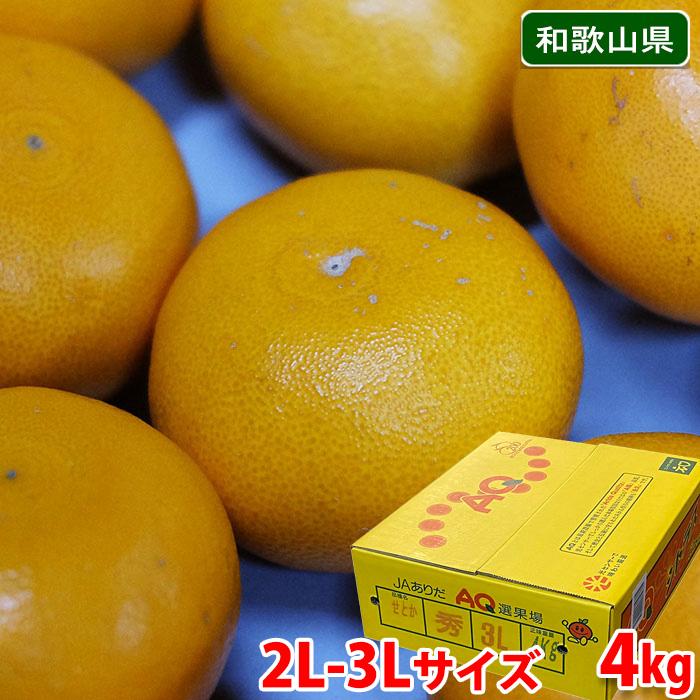 和歌山産 せとか 秀品 2L〜3Lサイズ 4kg （箱） 国産 みかん 柑橘 : 11610576-2 : 生鮮卸売市場 - 通販 - Yahoo!ショッピング