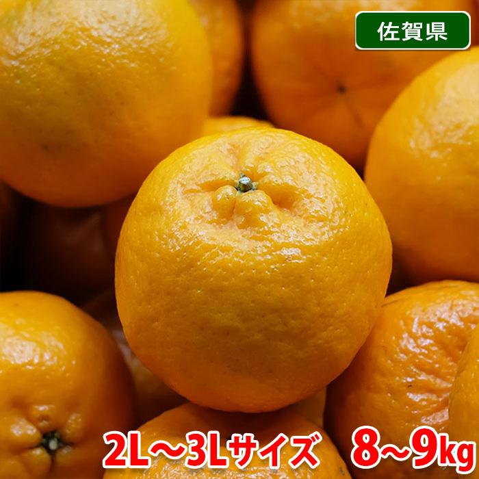 佐賀県産 ポンカン 秀品 2L〜3Lサイズ 8〜9kg（箱） : 生鮮卸売市場 - 通販 - Yahoo!ショッピング
