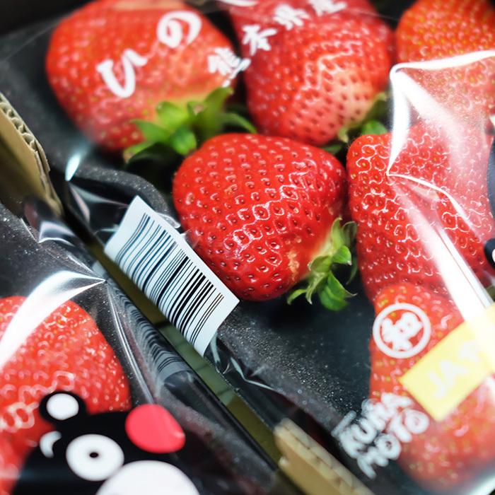 熊本県産 いちご ひのしずく DX等級 2Lサイズ 2パック入り(箱 熊本県産 いちご ひのしずく DX等級 2Lサイズ 2パック入り(箱
