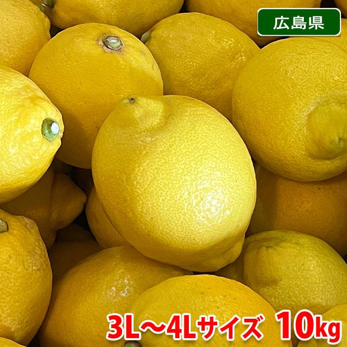 広島県産 レモン （イエローレモン） 秀品 3L〜4Lサイズ 10kg （箱） : 11610646-2 : 生鮮卸売市場 - 通販 - Yahoo!ショッピング