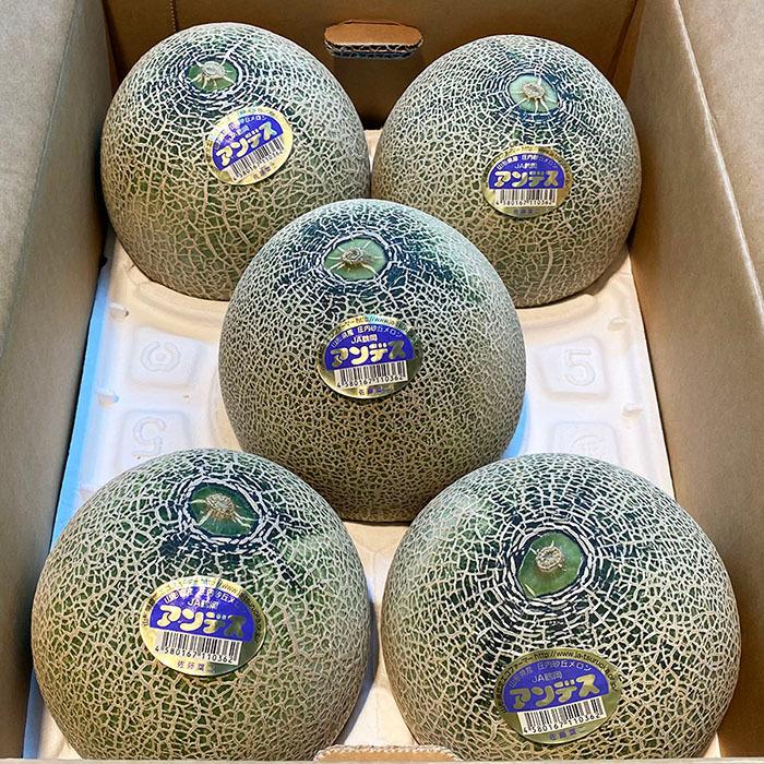 山形県産 アンデスメロン 秀品 2L〜3Lサイズ 4〜5玉入り （箱） : 生鮮卸売市場 - 通販 - Yahoo!ショッピング