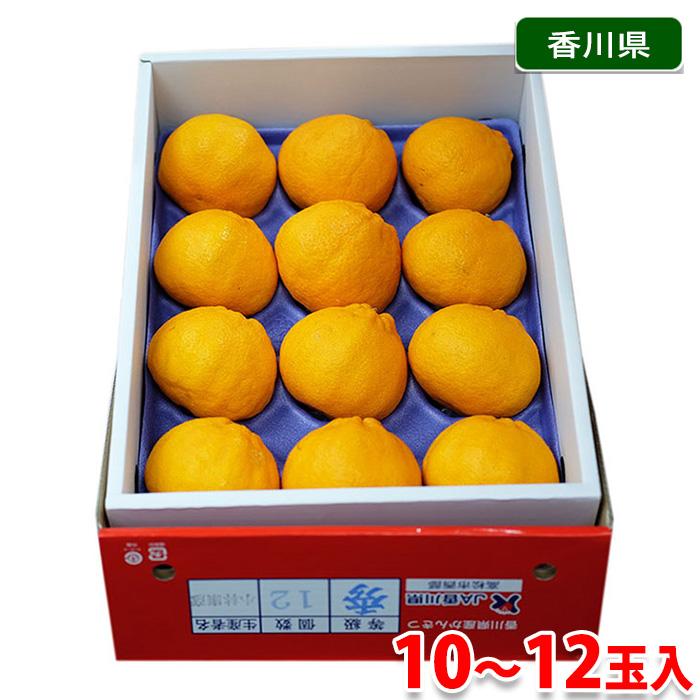 香川県産 デコポン 秀品 10〜12玉入り 約3kg （化粧箱） : 生鮮卸売市場 - 通販 - Yahoo!ショッピング