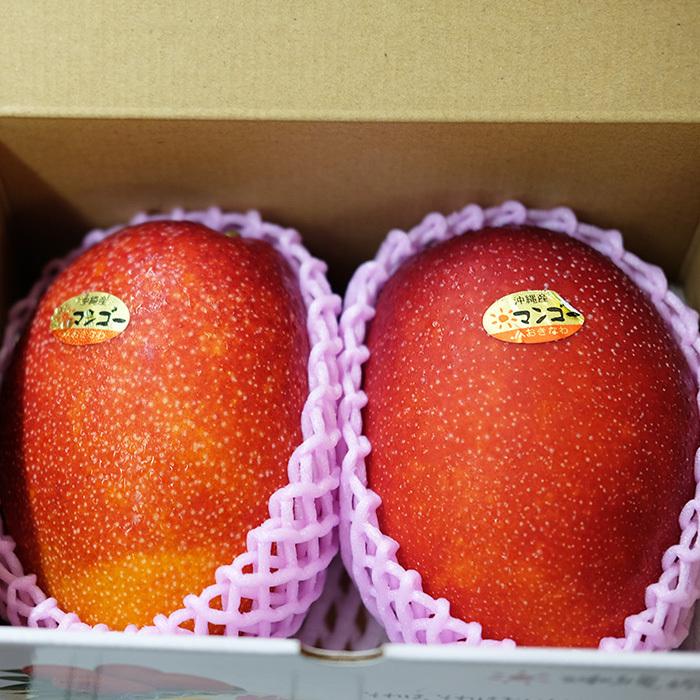 沖縄県産 マンゴー 秀品 2L〜3Lサイズ 2玉入り （化粧箱） : 生鮮卸売市場 - 通販 - Yahoo!ショッピング