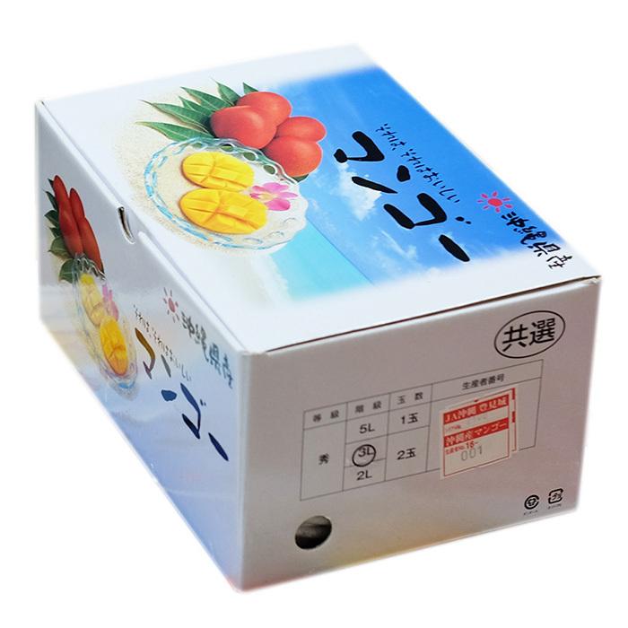 沖縄県産 マンゴー 秀品 2L〜3Lサイズ 2玉入り （化粧箱） : 生鮮卸売市場 - 通販 - Yahoo!ショッピング