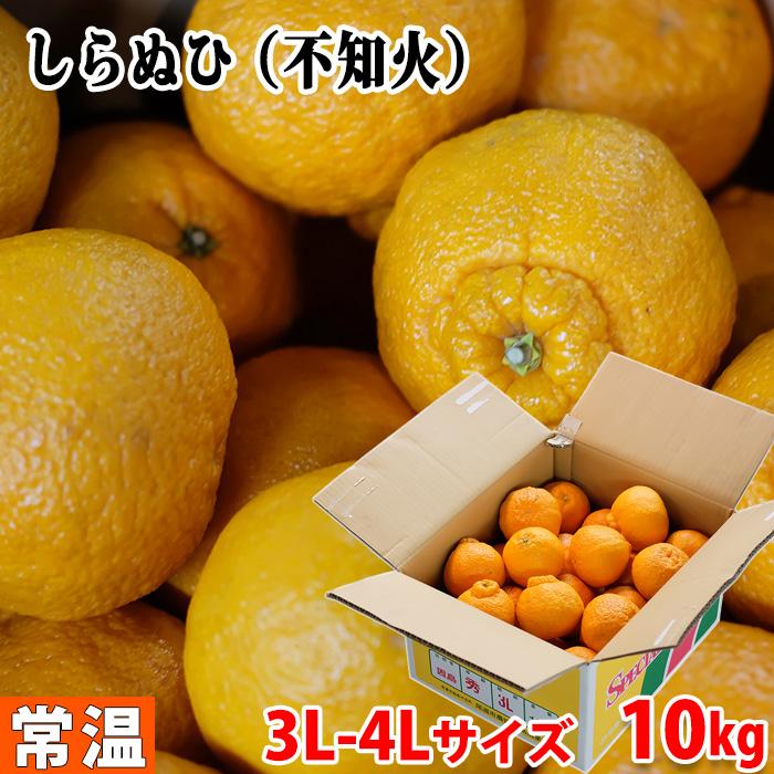 広島県産 しらぬひ （不知火） 秀品 3L〜4Lサイズ 10kg （箱） : 生鮮卸売市場 - 通販 - Yahoo!ショッピング