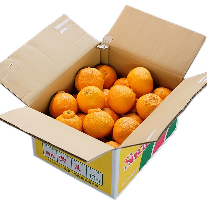 広島県産 しらぬひ （不知火） 秀品 3L〜4Lサイズ 10kg （箱） : 生鮮卸売市場 - 通販 - Yahoo!ショッピング