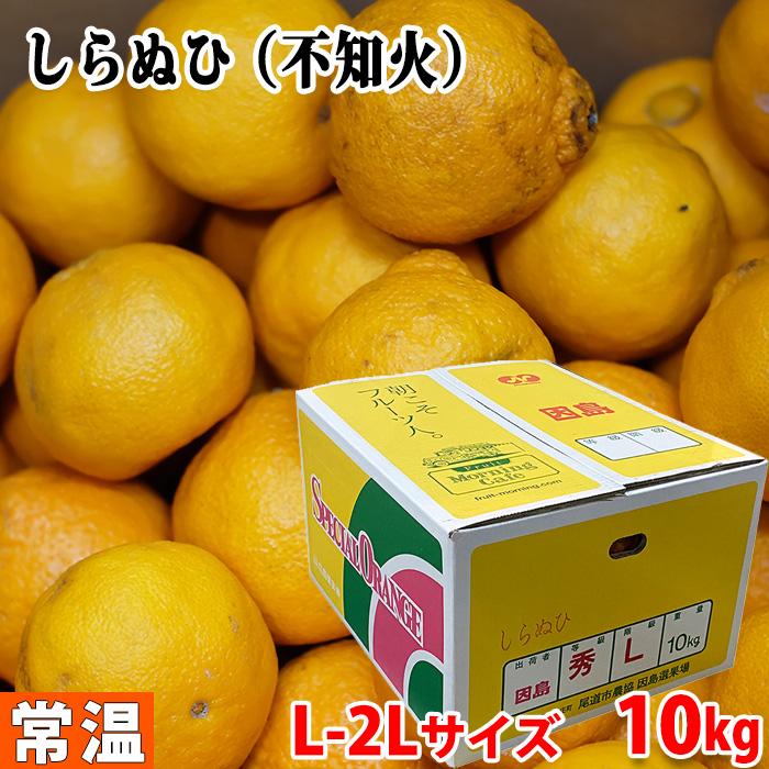 広島県産 しらぬひ （不知火） 秀品 L〜2Lサイズ 10kg （箱） : 生鮮卸売市場 - 通販 - Yahoo!ショッピング