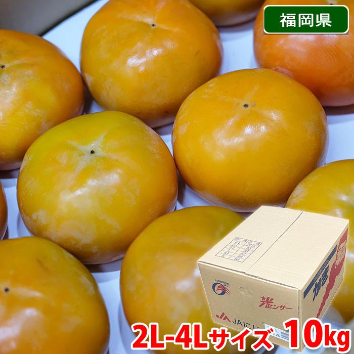 福岡県産 富有柿 秀品 2L〜4Lサイズ （27〜36玉入） 10kg （箱） 国産 フルーツ 柿 : 11610851-1 : 生鮮卸売市場 - 通販 - Yahoo!ショッピング
