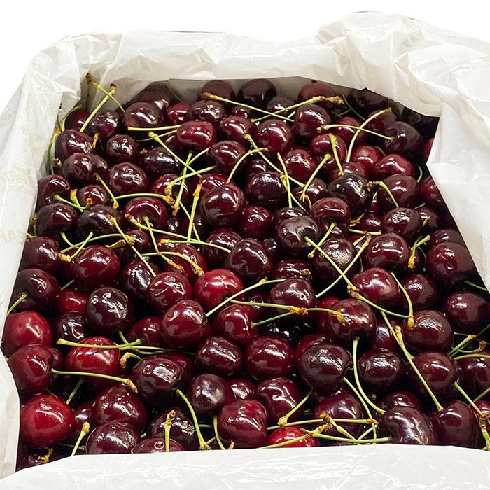 タスマニア産 チェリー 特大サイズ 9.5R （28mm以上） 約5kg （箱） : 生鮮卸売市場 - 通販 - Yahoo!ショッピング