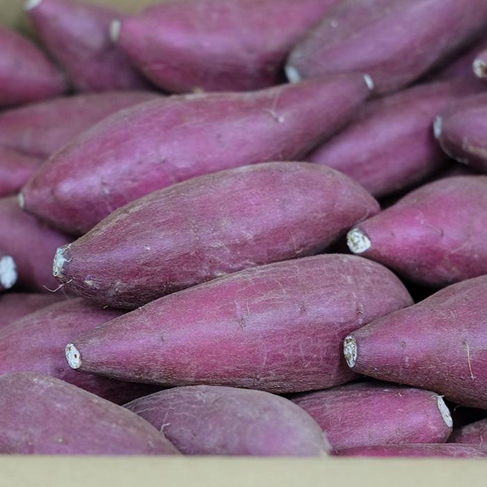 熊本県産（JA阿蘇西原）さつまいも シルクスイート A等級 2Sサイズ 約5kg（70本前後入）箱入り : 生鮮卸売市場 - 通販 - Yahoo!ショッピング