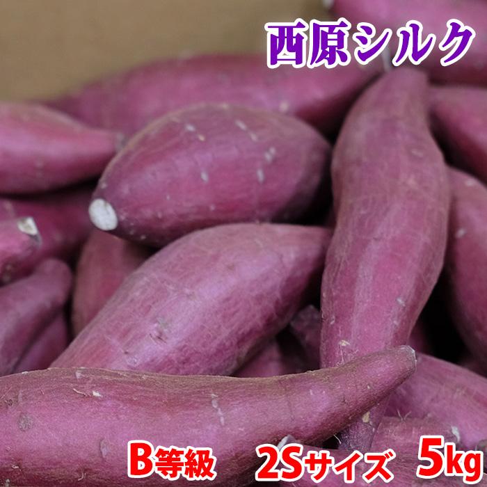 訳あり・ご家庭用 熊本県産（JA阿蘇西原）さつまいも シルクスイート B等級 2Sサイズ 約5kg（70本前後入）箱入り : 21710244-11 : 生鮮卸売市場 - 通販 - Yahoo ...