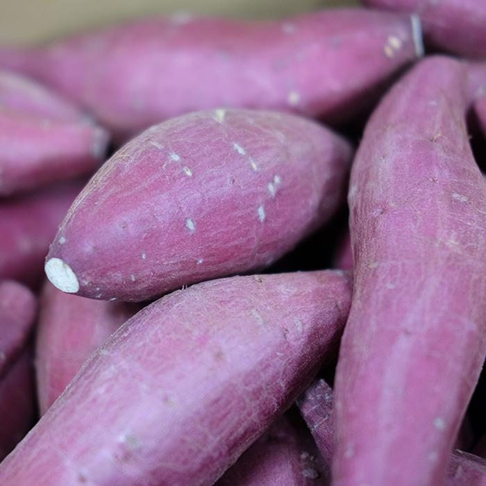 訳あり・ご家庭用 熊本県産（JA阿蘇西原）さつまいも シルクスイート B等級 2Sサイズ 約5kg（70本前後入）箱入り : 21710244-11 : 生鮮卸売市場 - 通販 - Yahoo ...