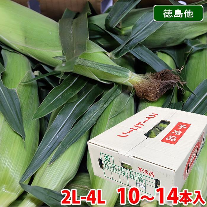徳島県産他 とうもろこし ゴールドラッシュ 秀品 2L〜4Lサイズ （10〜14本入） 約5kg （箱） : 生鮮卸売市場 - 通販 - Yahoo!ショッピング