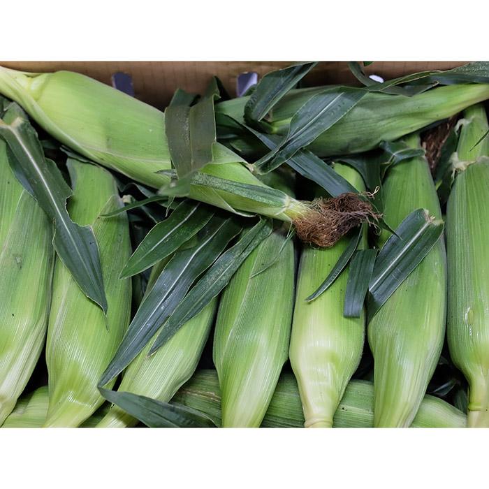 徳島県産他 とうもろこし ゴールドラッシュ 秀品 2L〜4Lサイズ （10〜14本入） 約5kg （箱） : 生鮮卸売市場 - 通販 - Yahoo!ショッピング