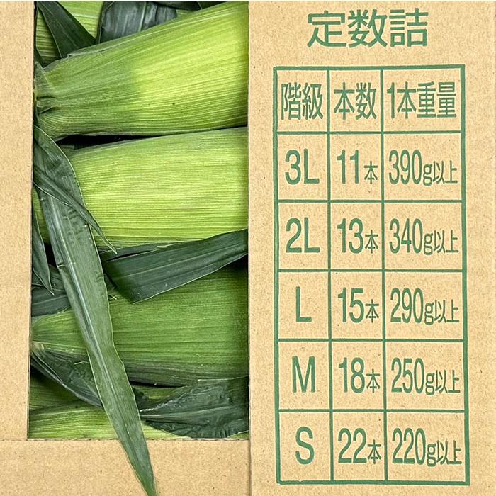 徳島県産他 とうもろこし ゴールドラッシュ 秀品 2L〜4Lサイズ （10〜14本入） 約5kg （箱） : 生鮮卸売市場 - 通販 - Yahoo!ショッピング
