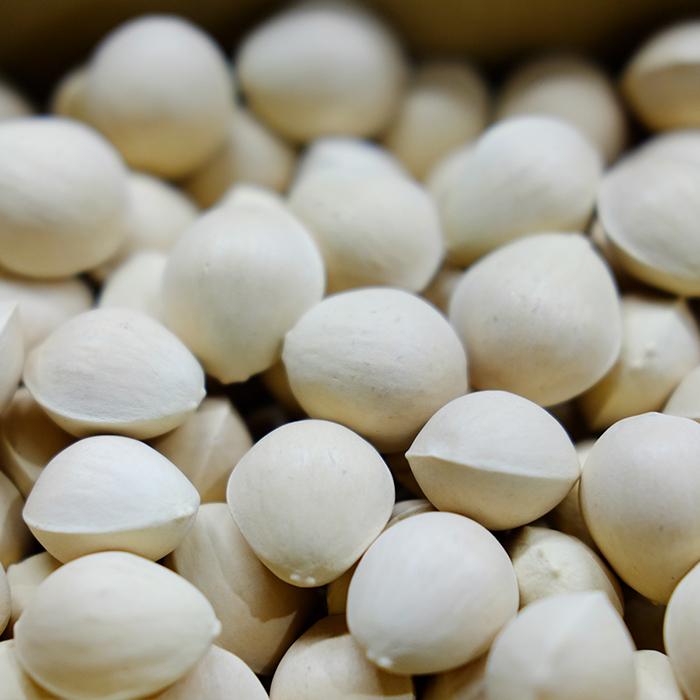 愛知県産 祖父江ぎんなん 藤九郎 2L〜3Lサイズ 500g : 生鮮卸売市場 - 通販 - Yahoo!ショッピング