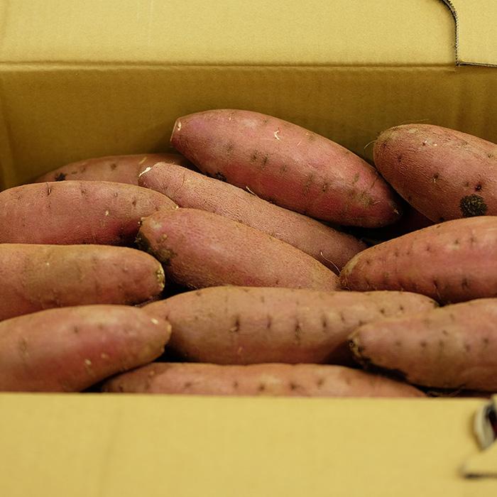 茨城県産 （マルデ） さつまいも 栗かぐや A等級 Mサイズ 約5kg (19〜20本前後入) 箱入り : 生鮮卸売市場 - 通販 - Yahoo!ショッピング