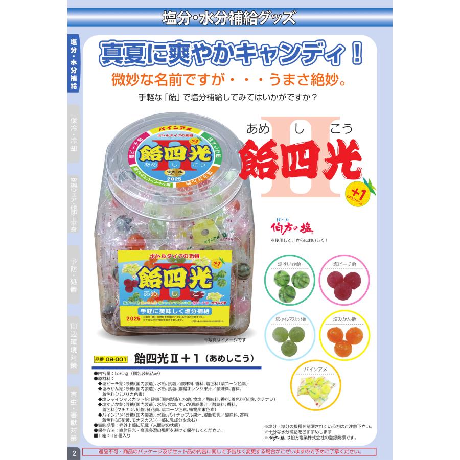 トーアン(/K) 4個以上注文用 飴四光 II+1 プラスワン 530g 塩飴 熱中症対策 業務用 : ProShop伊達 - 通販 - Yahoo!ショッピング