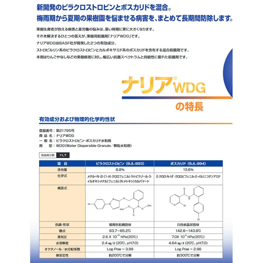 送料無料 ポスト投函 BASF(/A) ナリアWDG 250g 果樹・茶を対象とした殺菌剤 : basf-naria : ProShop伊達 - 通販 - Yahoo!ショッピング