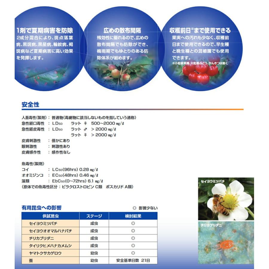 送料無料 ポスト投函 BASF(/A) ナリアWDG 250g 果樹・茶を対象とした殺菌剤 : basf-naria : ProShop伊達 - 通販 - Yahoo!ショッピング